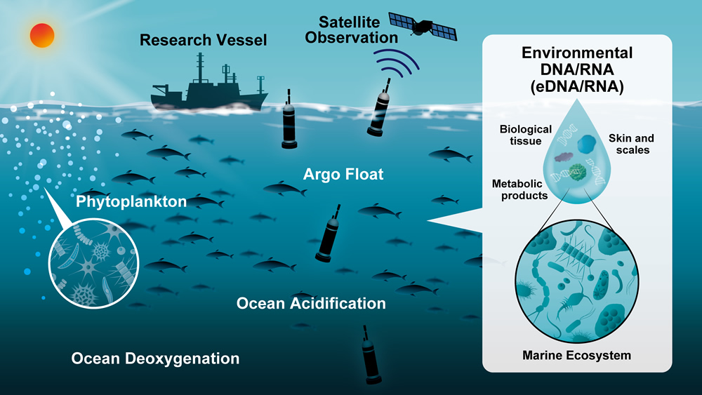 Research | Advanced Institute for Marine Ecosystem Change (WPI-AIMEC)
